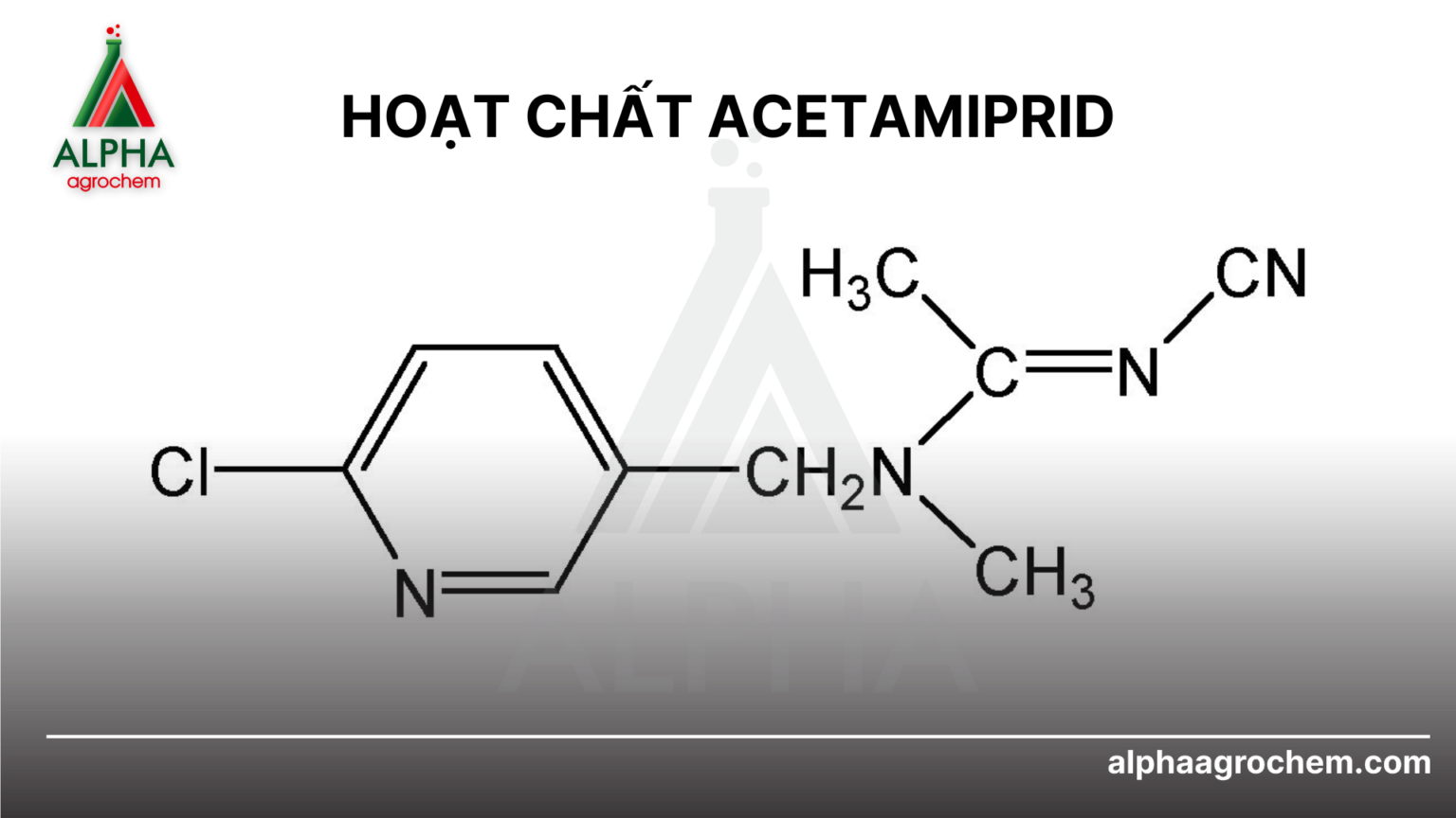 Acetamiprid và những ứng dụng trong nông nghiệp hiện đại - ALPHA AGROCHEM