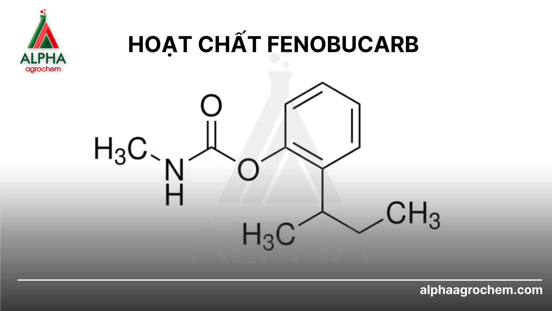 Fenobucarb và tác dụng kiểm soát dịch hại hiệu quả - ALPHA AGROCHEM