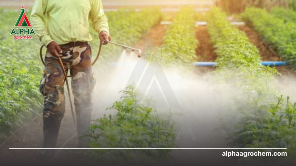 Thuốc trừ sâu - Profenofos 450g/l + Thiamethoxam 100g/l - THIPRO 550EC - ALPHA AGROCHEM