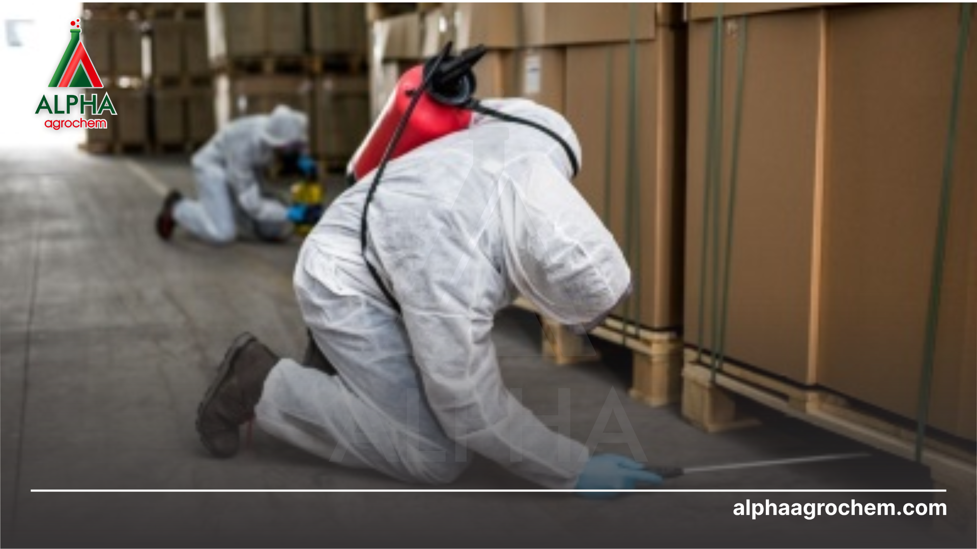 Chế phẩm DUBAINAPYR 250SC - ALPHA AGROCHEM