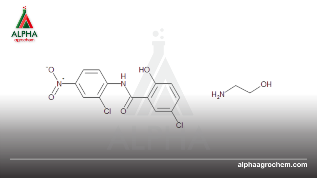 NICLOSAMIDE OLAMINE LÀ GÌ? - ALPHA AGROCHEM